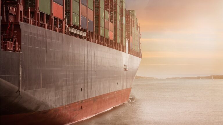 EMS in Shipping: Speed, Global Reach & Delivery Efficiency ...